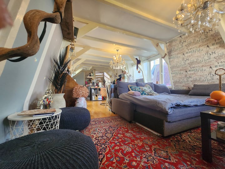 Canal View Apartment With Stunning Terrace - Zaandam