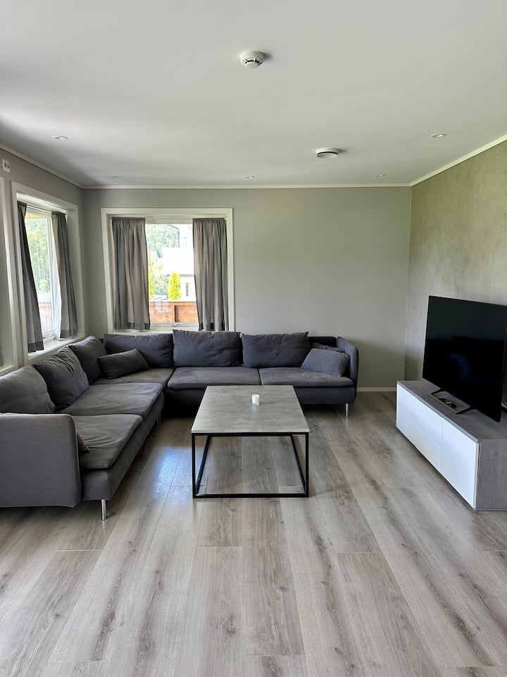 Panorama High Standard Apartment - Loen