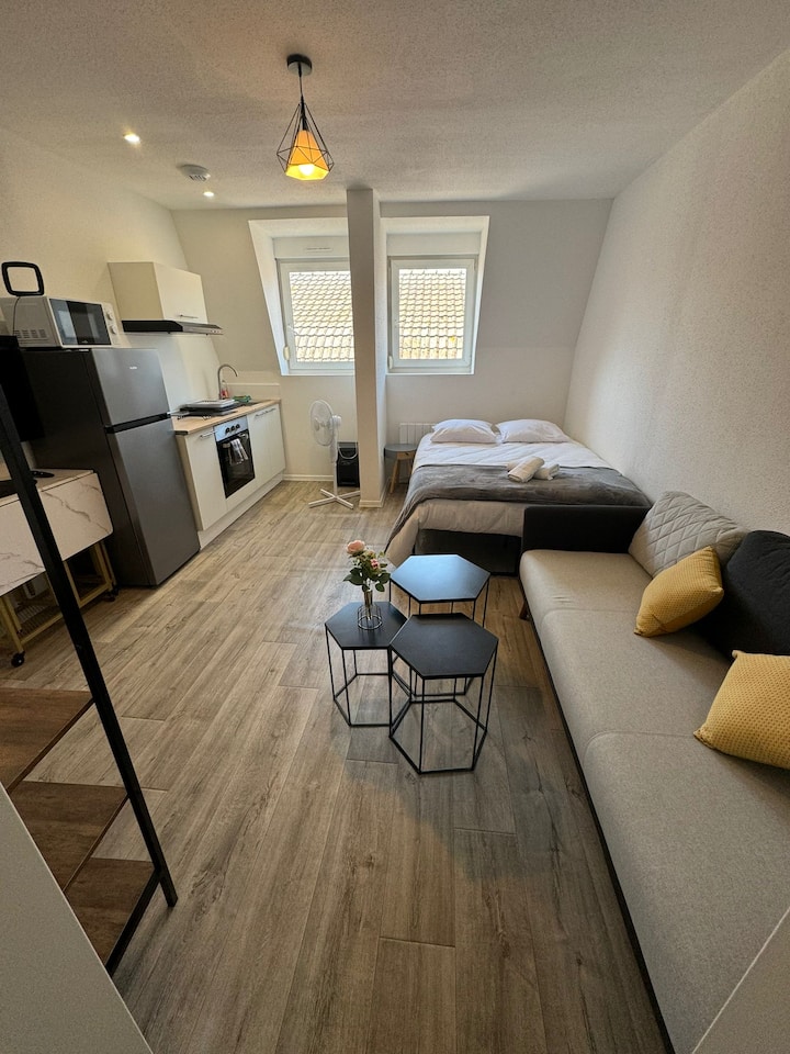 Le Studio «&nbsp;Les Roses&nbsp;»
Cosy Et Confortable - Mulhouse