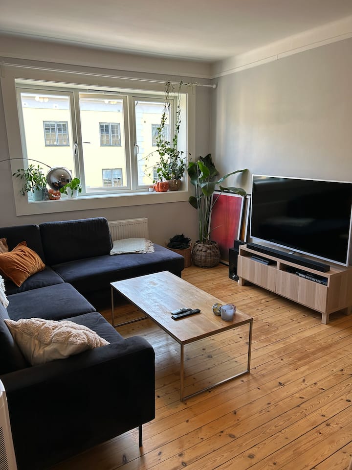 Sjarmerende Leilighet I Oslo (15 Min Fra Sentrum) - Oslo