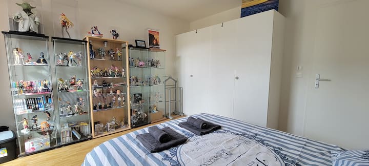 Appartement Spacieux à Genève -