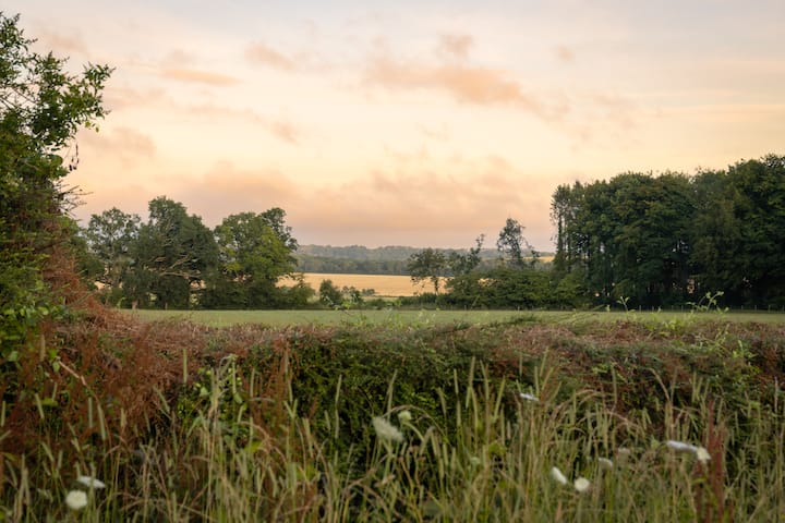 Hambleholt Cabin - South Downs National Park - United Kingdom