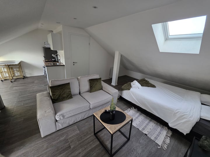 «&nbsp;Eucalyptus&nbsp;» Proche Tram, Stationnement Gratuit - Mulhouse