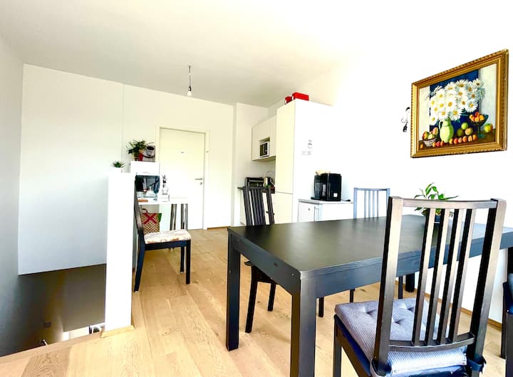Apartment Room B1 - Viena