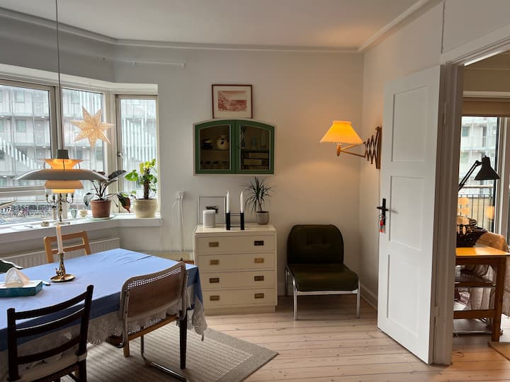 Charmerende Lejlighed Ved Nørrebroparken - Copenhague