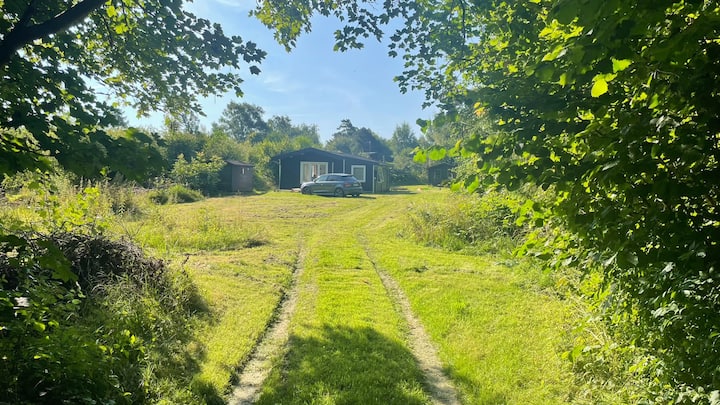 Natur, Strand, Børneting Og Med Stik Til Elbil - Denmark