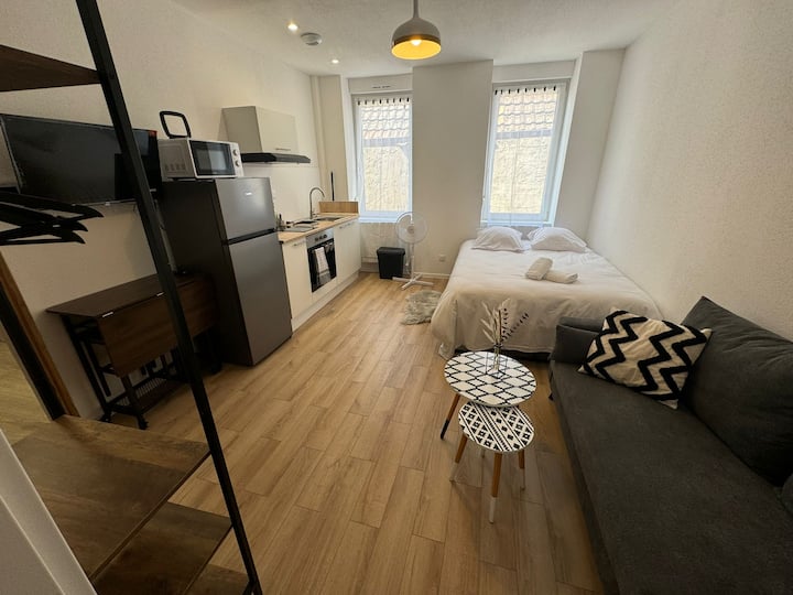 « Pampas » Centre, Proche Tram, Stationnement Free - ミュルーズ