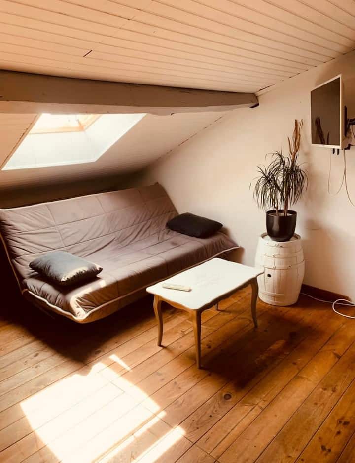 Appartement Cosy Plein Centre Angoulême - Angoulême