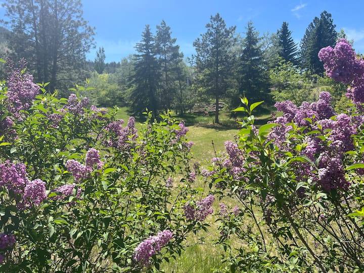 Newly Listed Scenic Central Home With Trail Access - Helena, MT