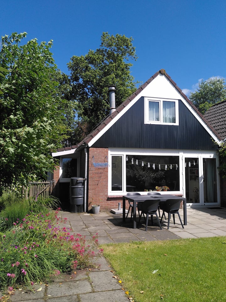 Duinroos - Goedereede