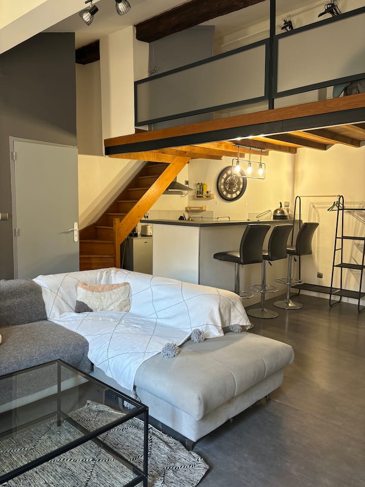 Appartement Cosy Cœur De Ville - ibis Montpellier Centre Comedie