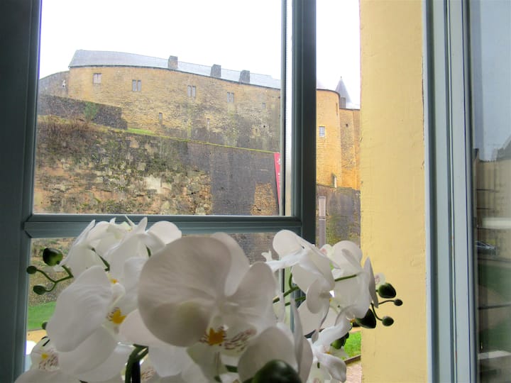 Vue Sur Le Château Fort • Centre Historique - Sedan