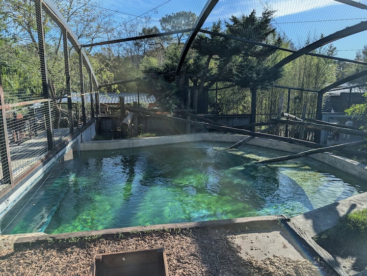 Lodge Jaguars & Spa & Dîner – Accès Au Zoo - Marcheprime