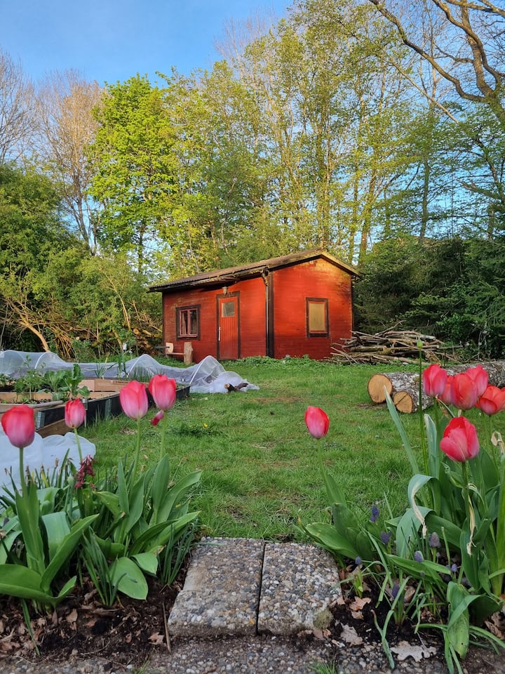 Ruhige, Kinder- & Tierfreundliche Hütte Am Wald - Höör