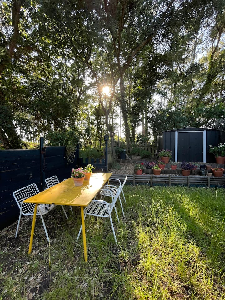Maison T3 Avec Jardin Ouvert Sur La Forêt - Hossegor