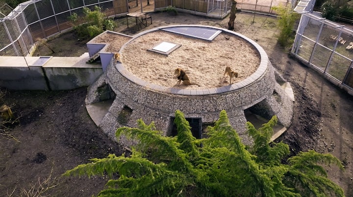 Lodge Lions & Sauna & Dîner – Accès Au Zoo - Saint-Jean-d'Illac