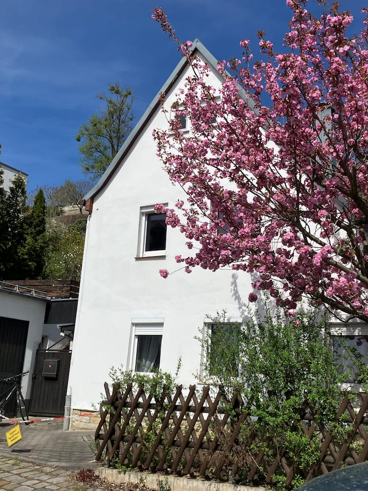 Haus Am Elbhang Bei Pillnitz - Dresde