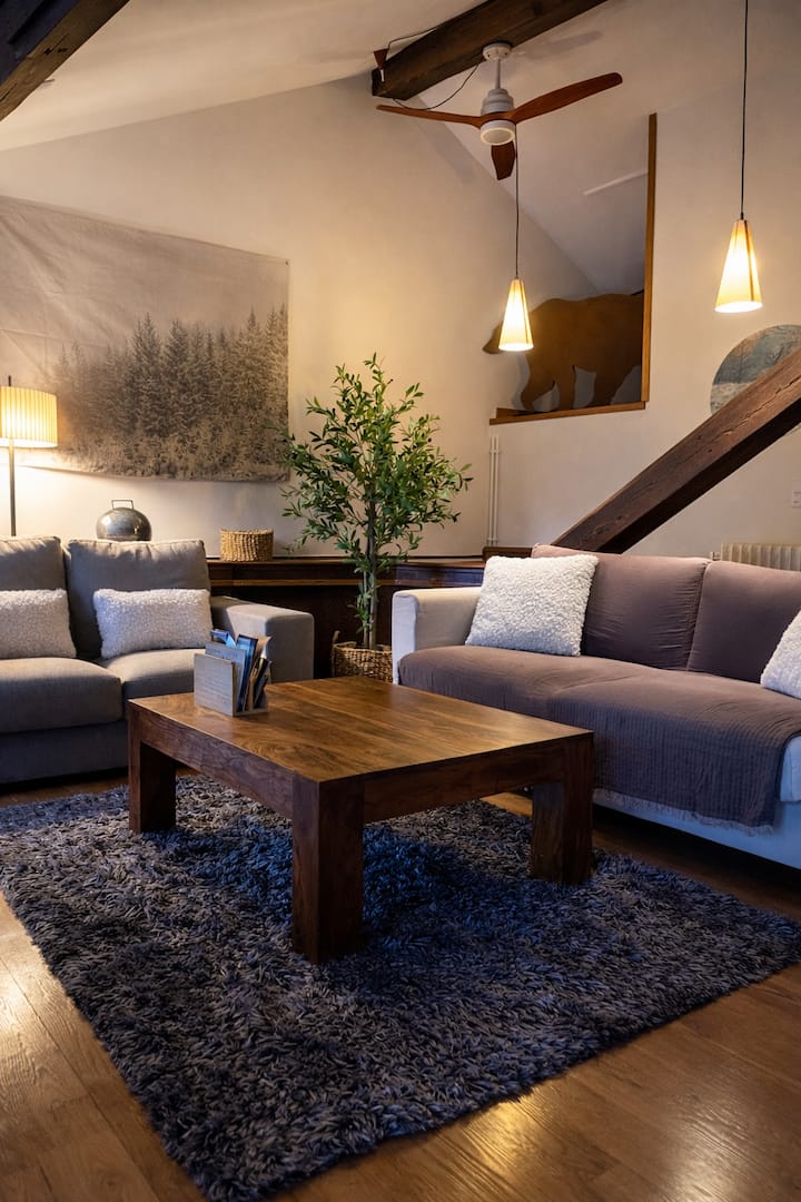 Cal_querol 2 Penthouse Au Centre - Puigcerdà