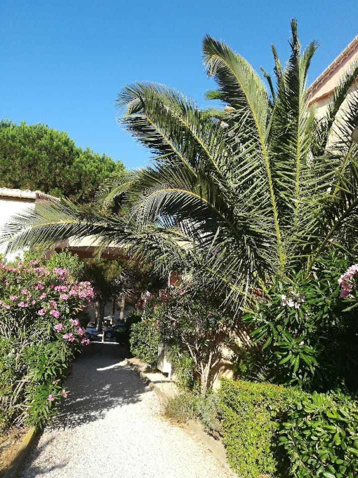 F2 Bis à 200 M De La Plage - Argelès-sur-Mer