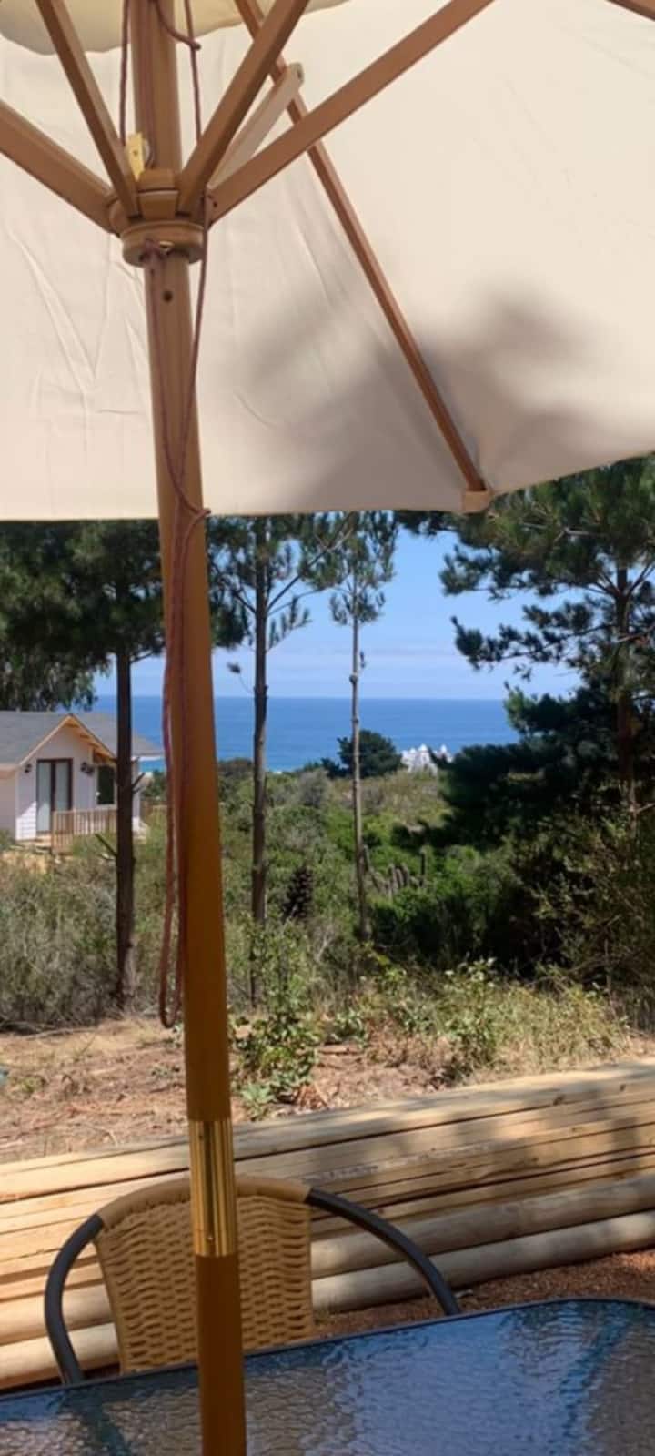 Casa En Parcela Bosque Con Vista Mar, Buen Wifi - Algarrobo