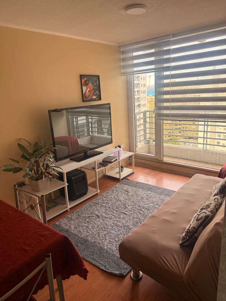 Estacionamiento Y Piscina, Céntrico Y Gran Vista - Concepción, Chile