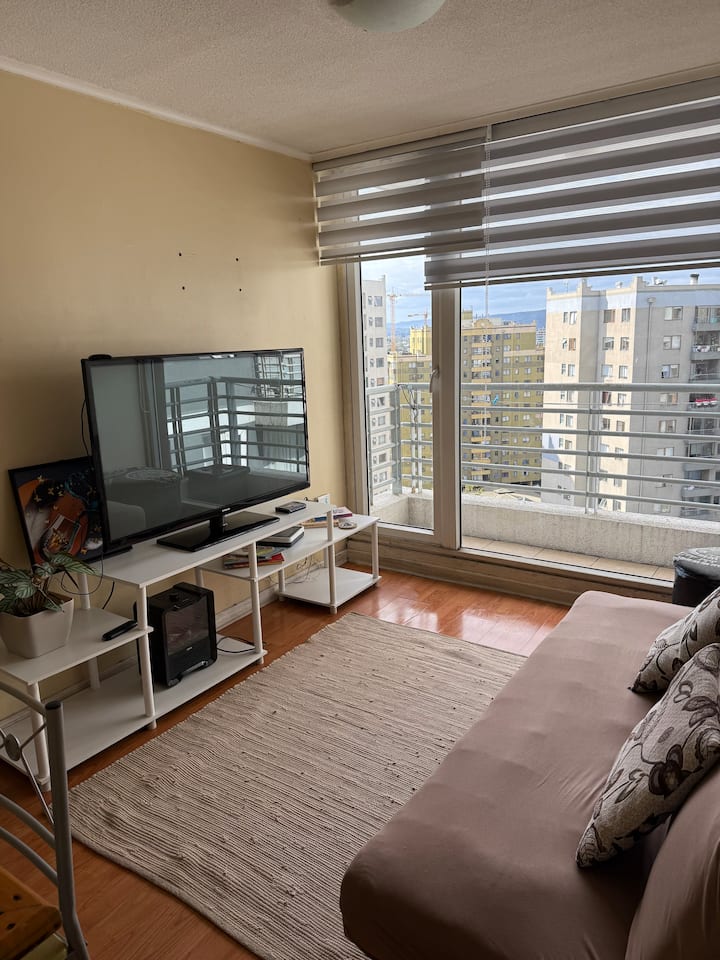 Vista Alto Concepcion - Concepción