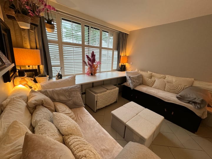 Zuidas Flat - Amstelveen