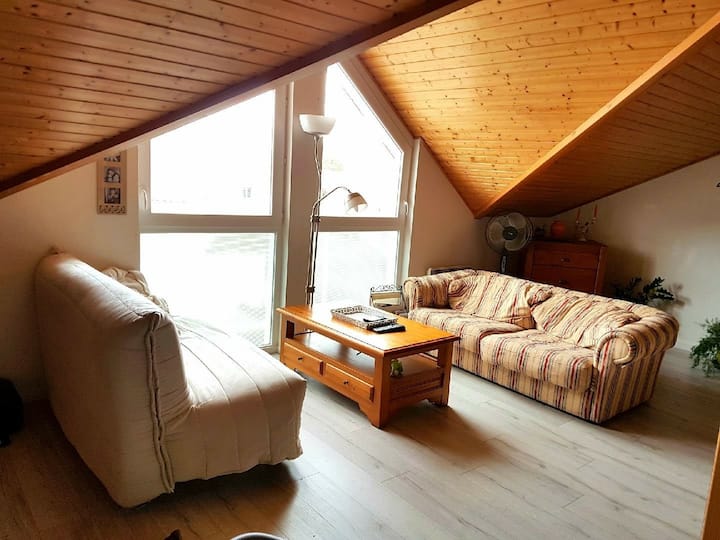 Maison Biscarrosse Lac - Biscarrosse