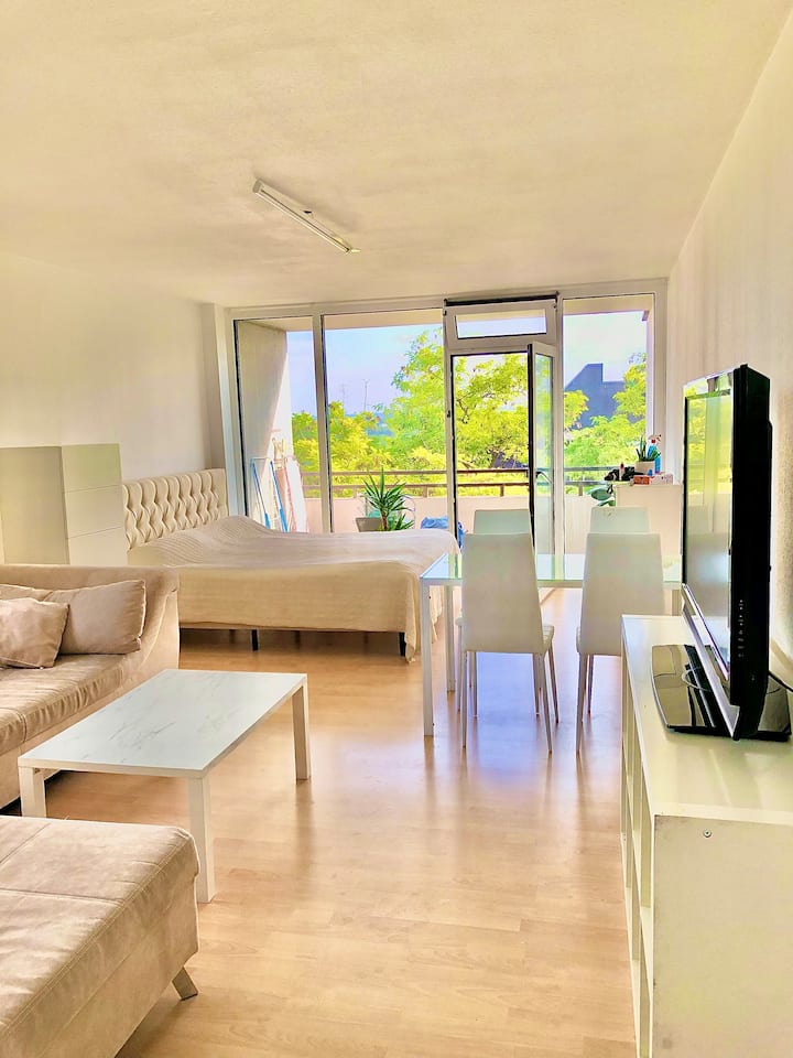 Schönes 1 Zimmer-apartment - Wiesbaden