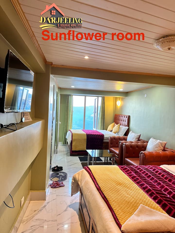 Rooftop Swimming Pool - Darjeeling