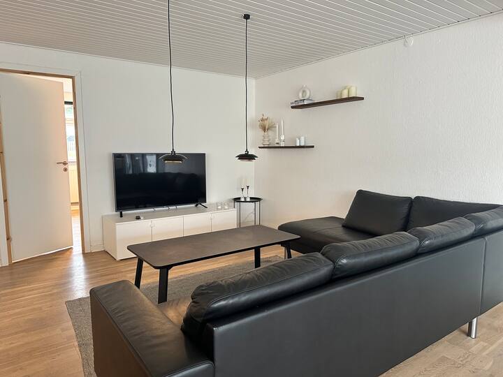Rækkehus I Roligt Kvarter. - Odense