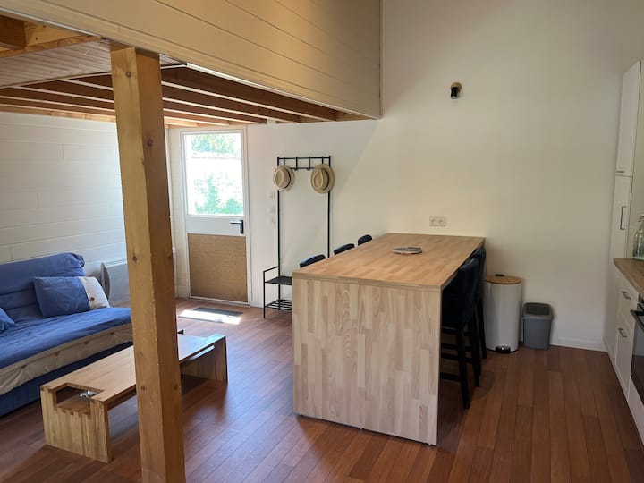 Duplex Aux Portes De La Rochelle - Île de Ré