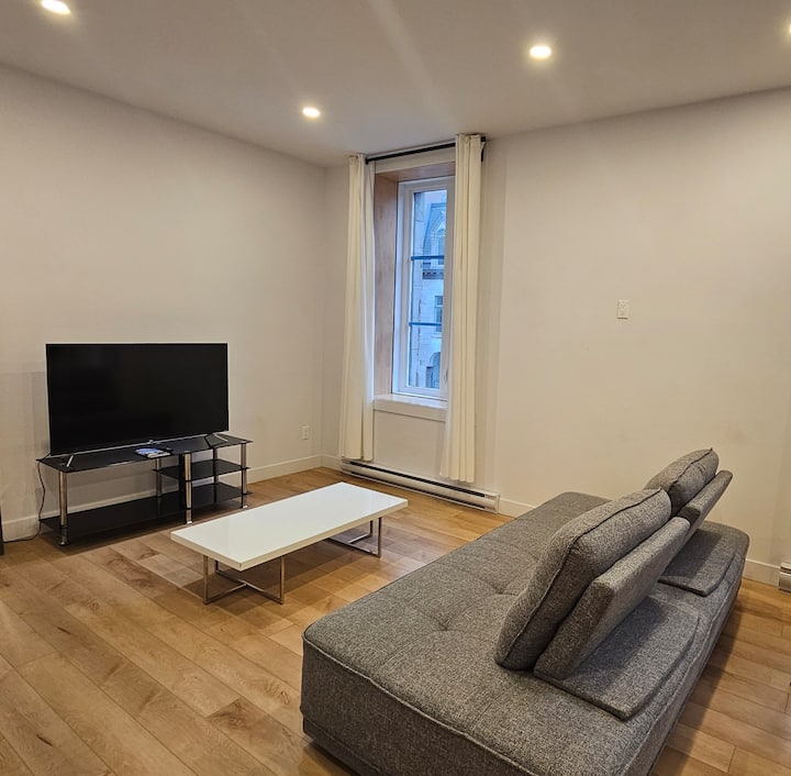 Beautiful 1 Bedroom Apartment. - Montreal