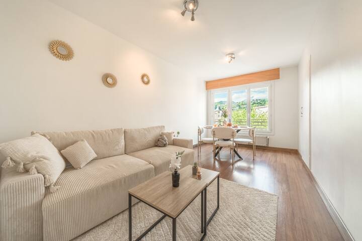 Appartement Hyper-centre Unique - Chambéry
