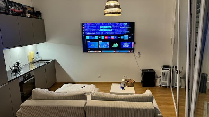 Appartement Centre De Genève - Geneva