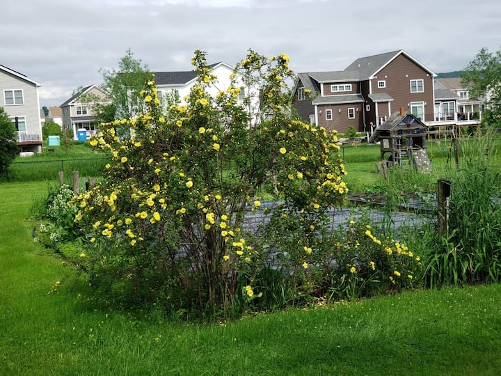 Local Garden House, Recently Updated, And Spacious - Shelburne, VT