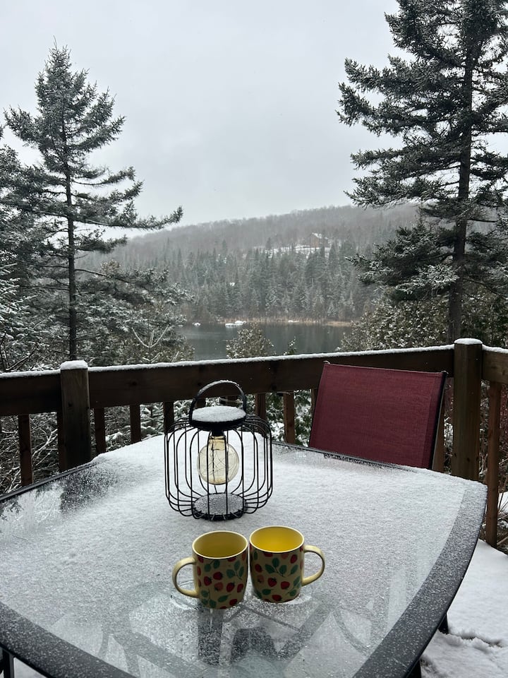 Chalet L'oasis 11 - Laurentides