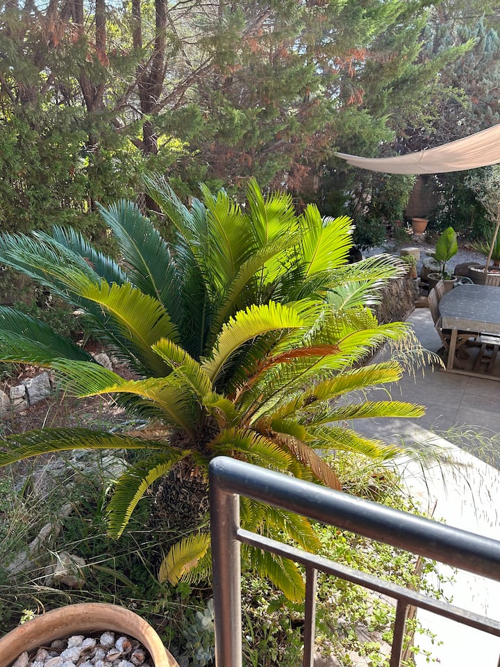 Rez /Villa 85 M2/ 200m Mer/plage St Raph/boulouris - Var