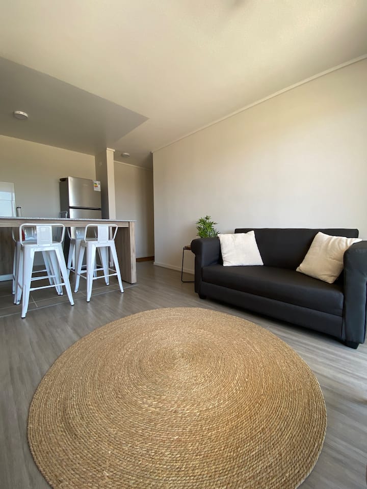 Descanso A Pasos Del Mar - La Serena