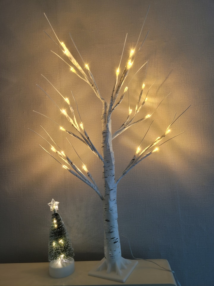 (신규) 쉼표 하우스. 2층 독채. 올리모델링. 이월드 인접.교통편리 - Daegu