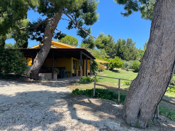Villa Panorama Sirolo - Sirolo