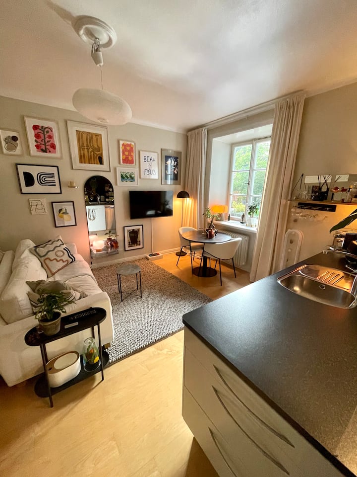 Cozy Flat In Central Stockholm - Stockholm