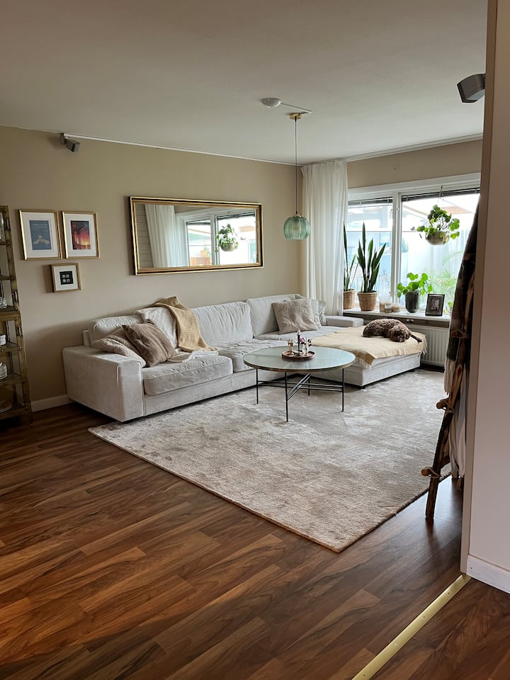 Radhus I Mora - Mora