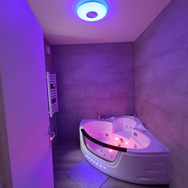 Studio Le Voyageur - Baignoire - Châtillon-sur-Loire