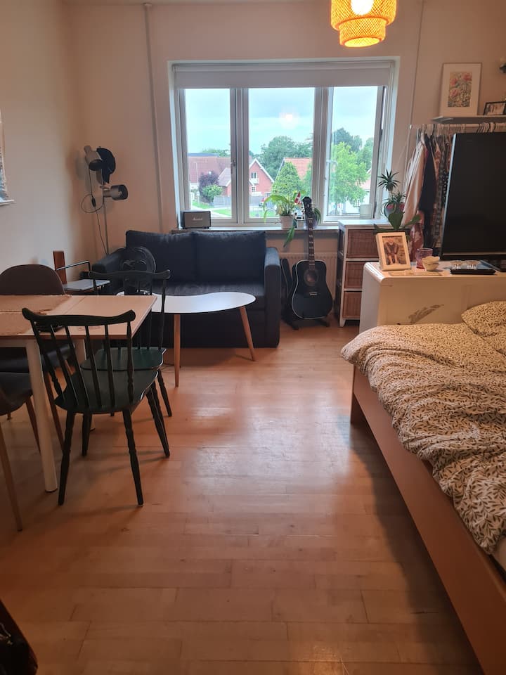 Fin Lille Lejlighed I Odense - Odense