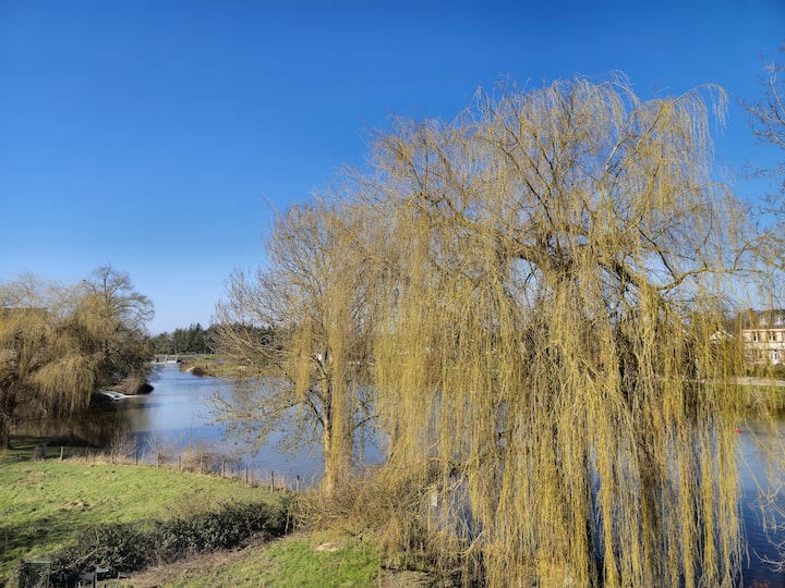 Le Rivage - Vue D'exception - Guichen
