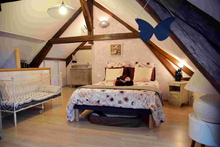 Chambre Bellevue - Saint-Florentin