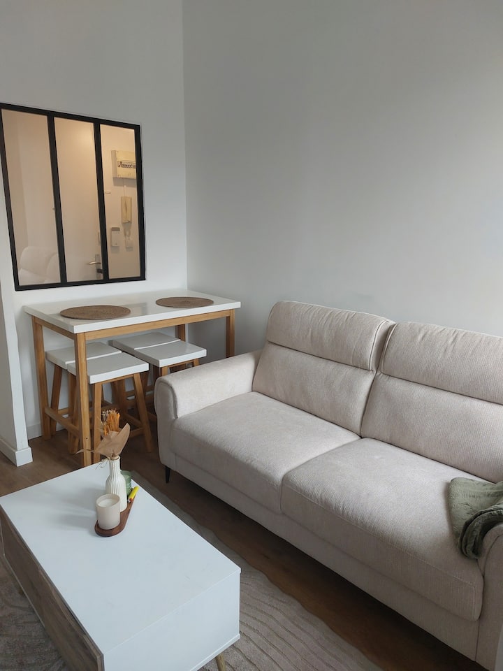 Charmant Appartement En Plein Centre-ville - 