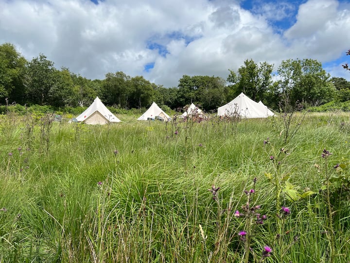 Entire Luxury Glamping Site X5 Bell Tents - Carmarthen