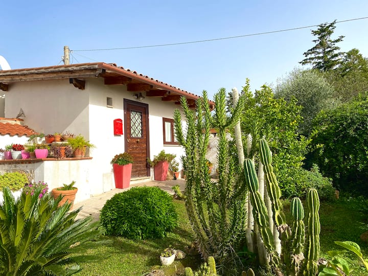 The Flower House
Dove Fioriscono Relax E Sorrisi! - Tivoli